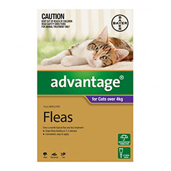 Advantage Cats over 10lbs (Purple) | Buy Today!