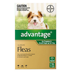 Buy Advantage Small Dogs/ Pups 1-10lbs (Green) | Flea & Tick Control ...